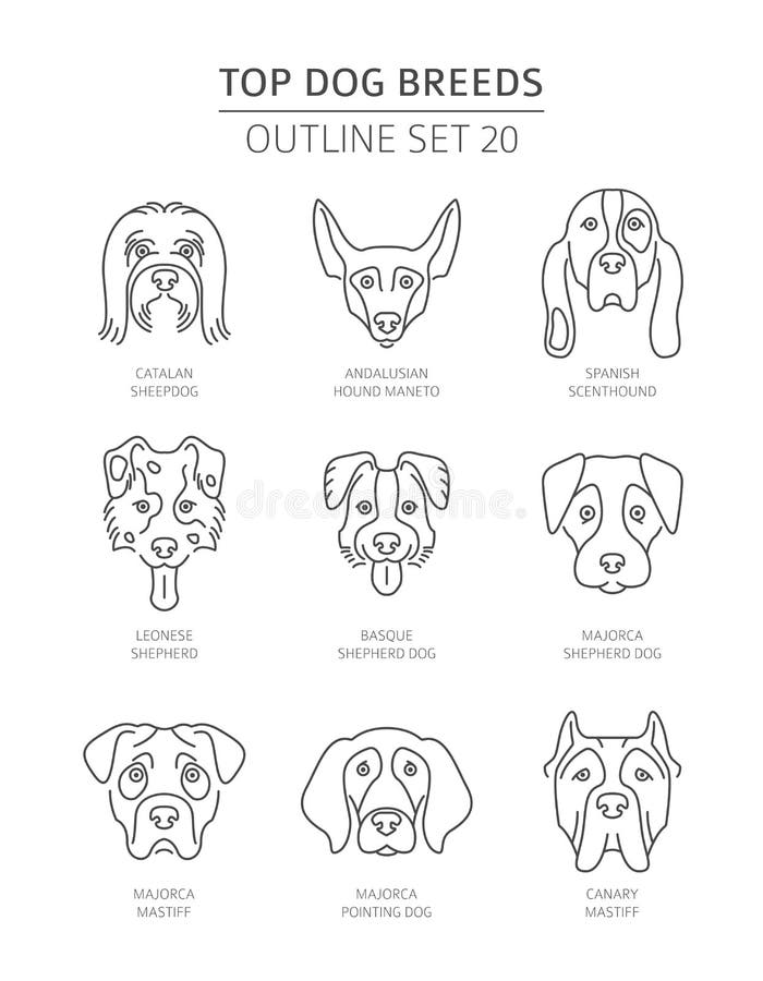 Top Dog Breeds. Pet Outline Collection Stock Vector - Illustration of ...