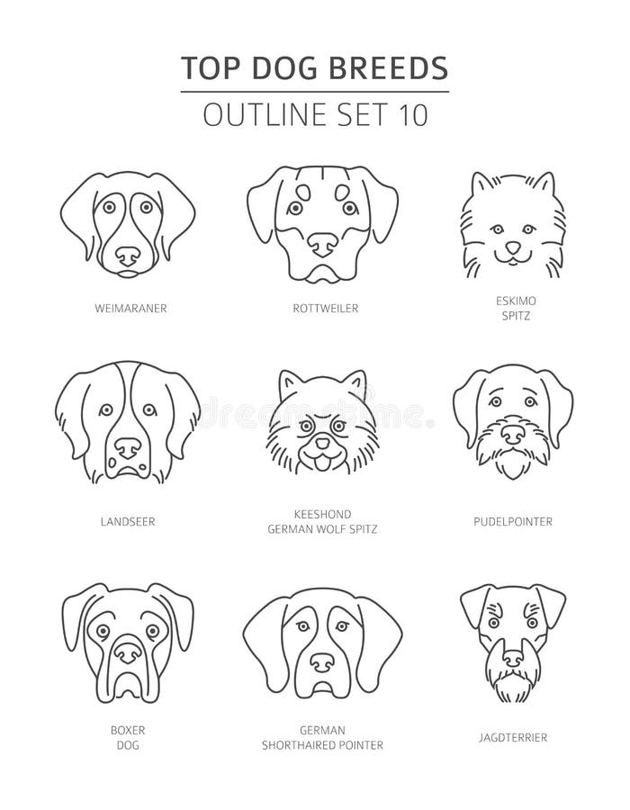 Top Dog Breeds. Pet Outline Collection Stock Vector - Illustration of ...
