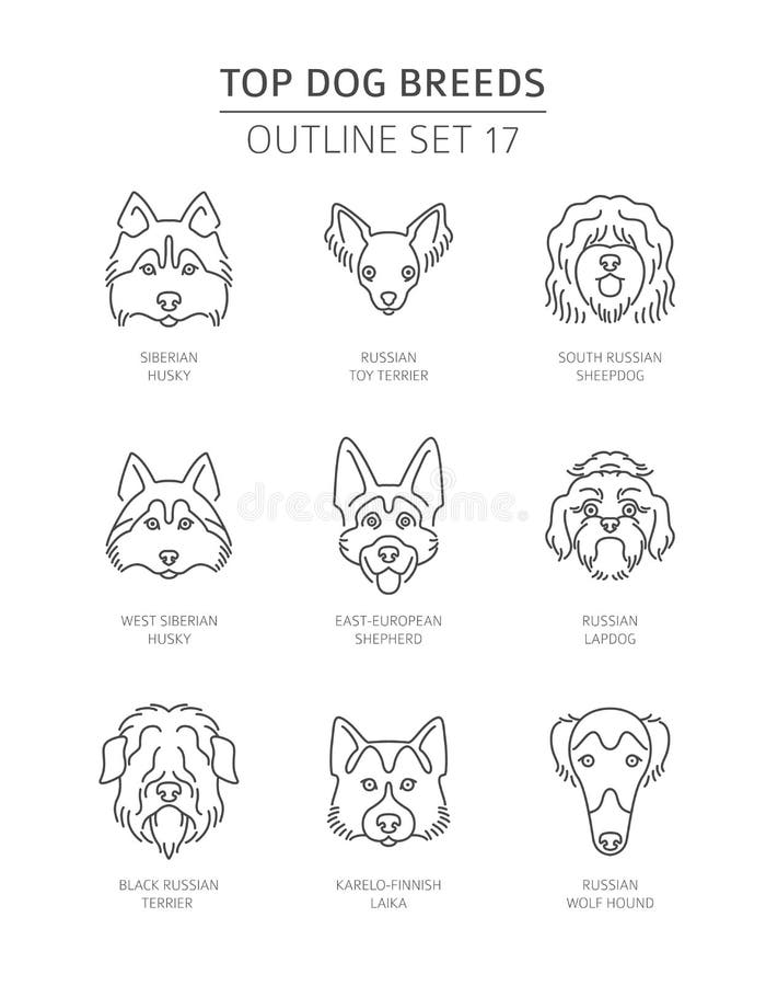 Top Dog Breeds. Pet Outline Collection Stock Vector - Illustration of ...