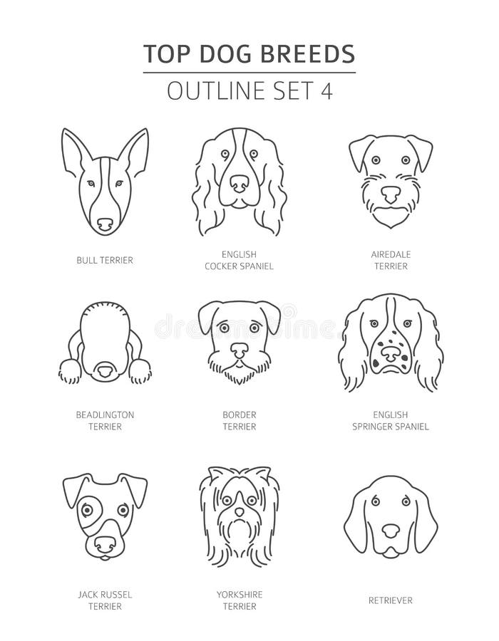 Top Dog Breeds. Pet Outline Collection Stock Vector - Illustration of ...