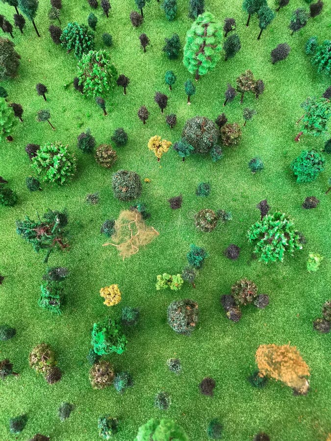 Top Down from Above View of Miniature Forest and Landscaping of Scale ...