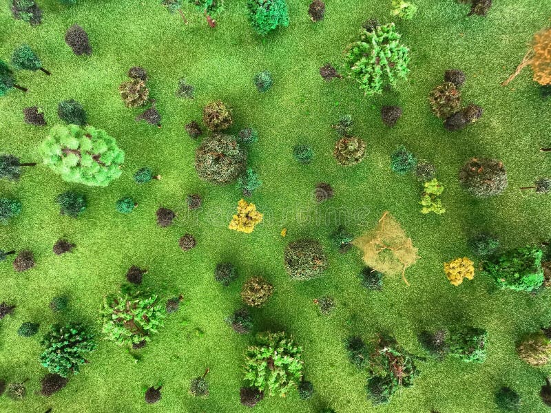 Top Down from Above View of Miniature Forest and Landscaping of Scale ...