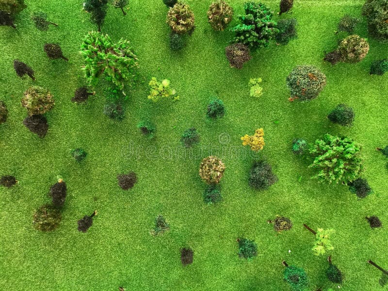 Top Down from Above View of Miniature Forest and Landscaping of Scale ...