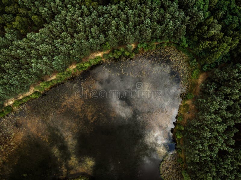 .Top Down Aerial Drone View Over Forest and Lake Stock Image - Image of ... .Top Down Aerial Drone View Over Forest and Lake Stock Image - Image of ...