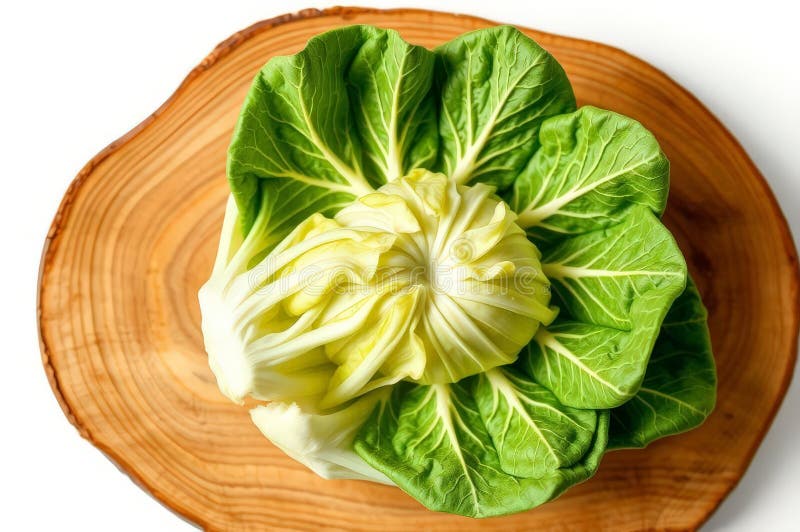 Top-Down Chinese Cabbage Display Stock Illustration - Illustration of ...
