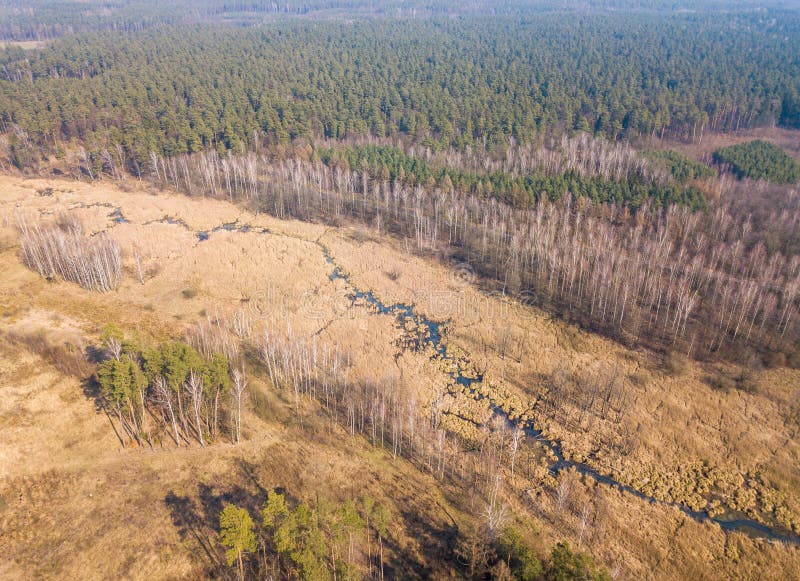 Top Down Drone Landscape with Forest in Early Spring Stock Image ...