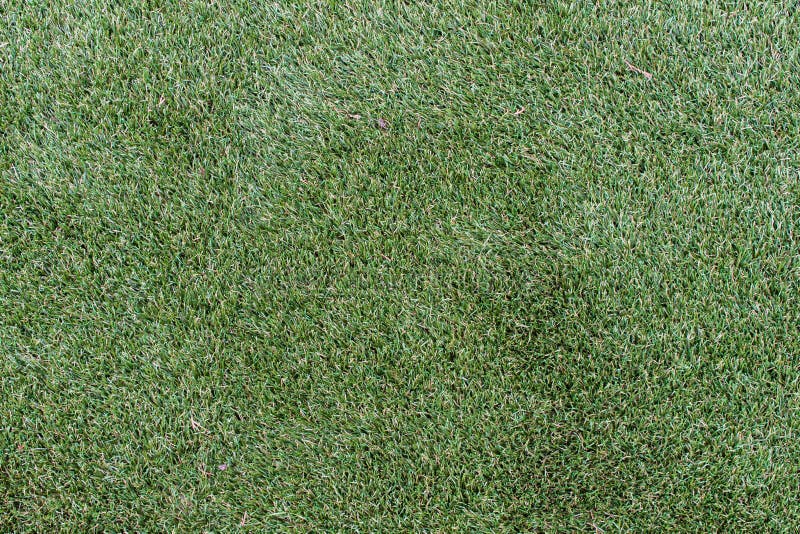 Top Down Green Grass Texture Patch Stock Image - Image of dark, green ...