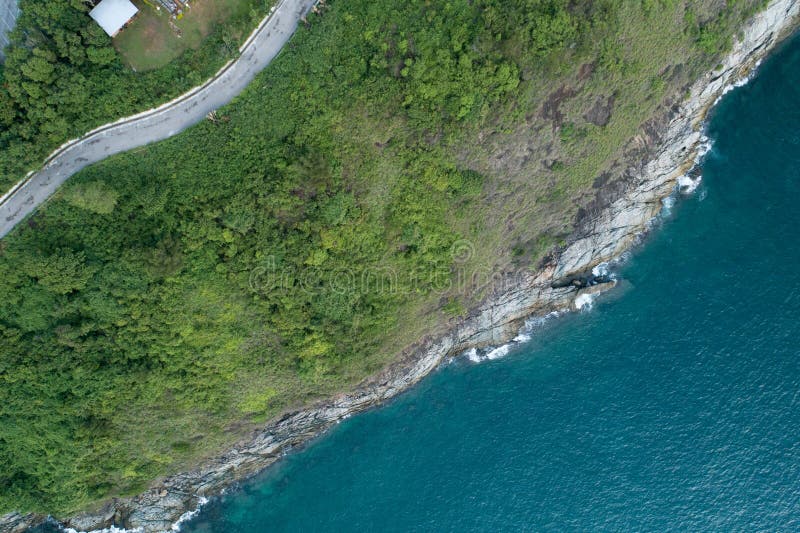 Aerial High Angle View Top Down Rainforest Trees Ecosystem and Healthy ...