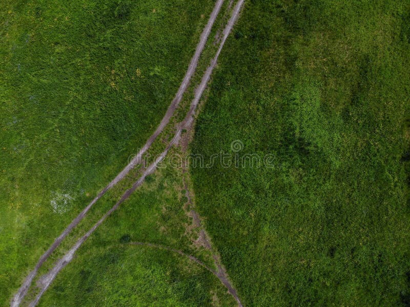 Top Down Look To Connection of Paths between Grass and Bushes Stock ...