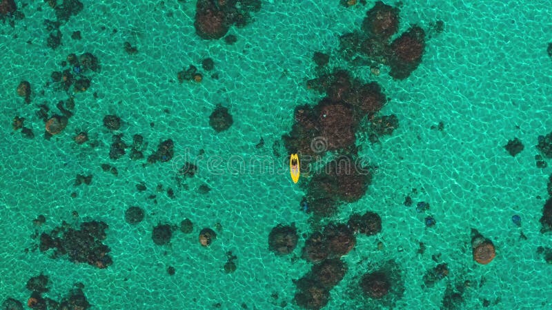 Top Down Paddle Board in Emerald Crystal Water. Stock Video - Video of ...