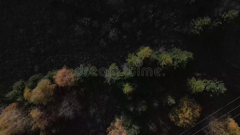 Top-down Shot of Autumn Tree Crowns. Stock Footage - Video of landscape ...