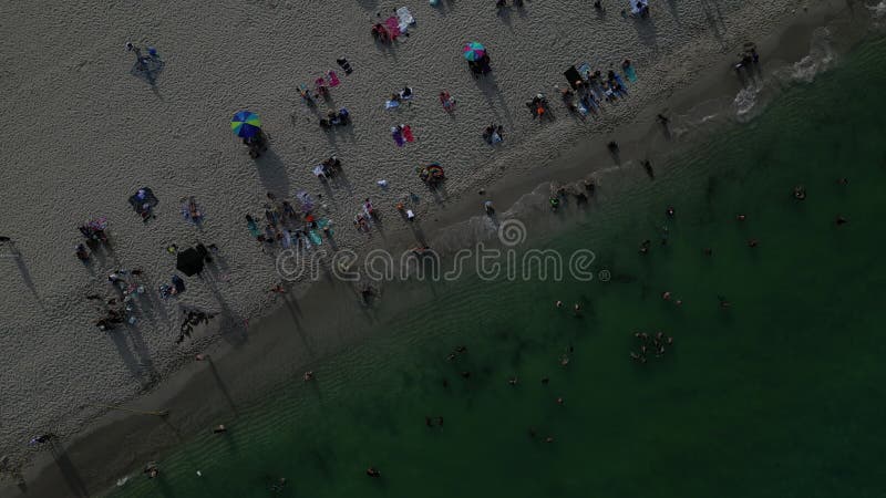 Top-down Shot of a Beach with People Chilling. Stock Footage - Video of ...