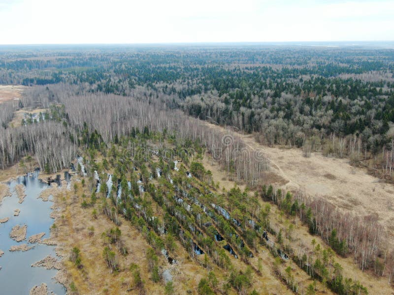 A Top-down Shot at the Reflection of Clouds in Blue Water with Waves ...