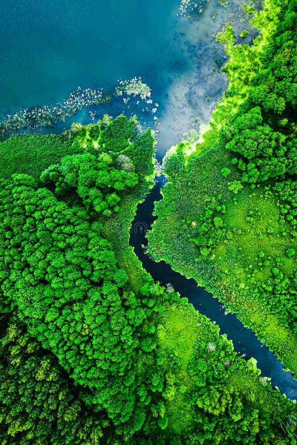 Top Down View of Amazing Blooming Algae on River Stock Image - Image of ...