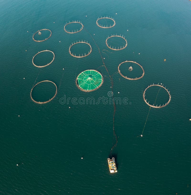 297 Aquaculture Netting Stock Photos - Free & Royalty-Free Stock Photos ...