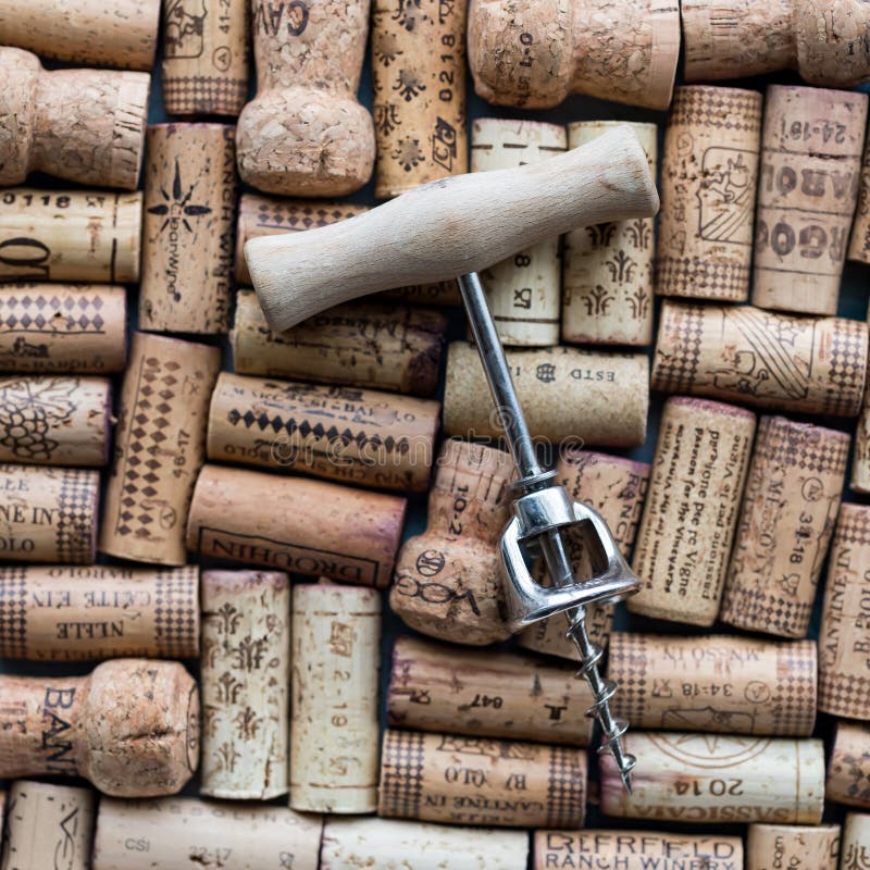 Top Down View of Assorted Wine Corks with a Cork on Top. Editorial ...