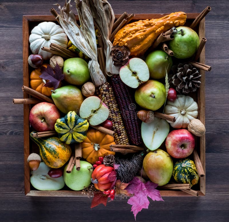 Top Down View of an Assortment of Autumn Fruits and Decorations. Stock ...