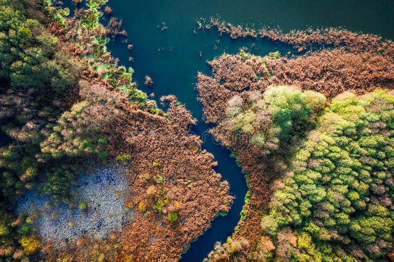 Top Down View of Autumn Lake and Swamp Stock Photo - Image of green ...