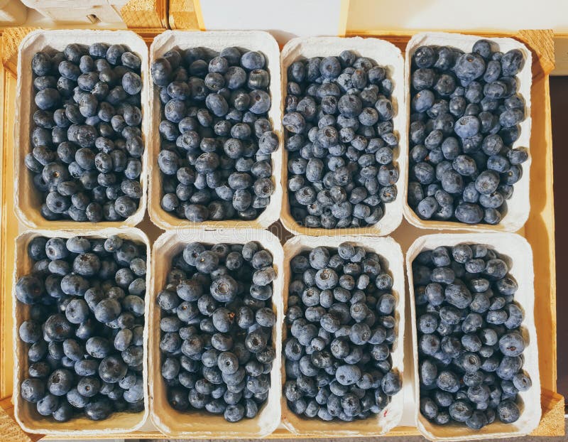 Top Down View on Boxes of Blueberries Stock Image - Image of gardening ...