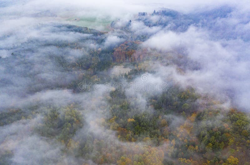 Top Down View of Colorful Autumn Forest. Stock Image - Image of beauty ...