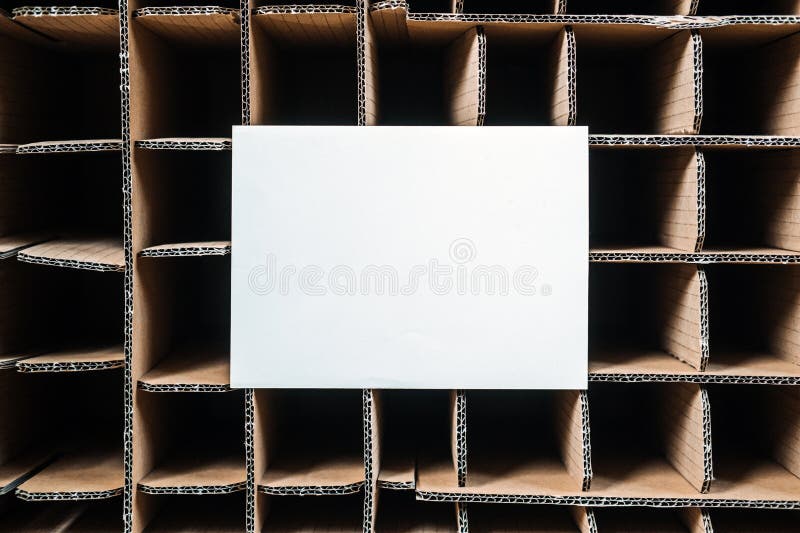 Corrugated Cardboard Packaging with Empty Slots and Blank White Label ...