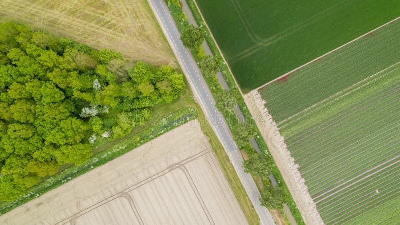 Top Down View of Diagonal Pattern of Fields in Netherlands Countryside ...