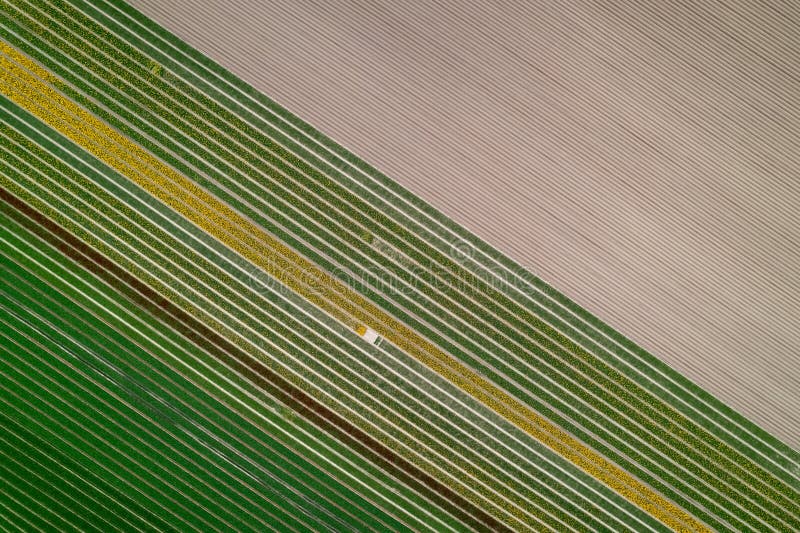 Top Down View of Diagonal Pattern of Fields in Netherlands Countryside ...