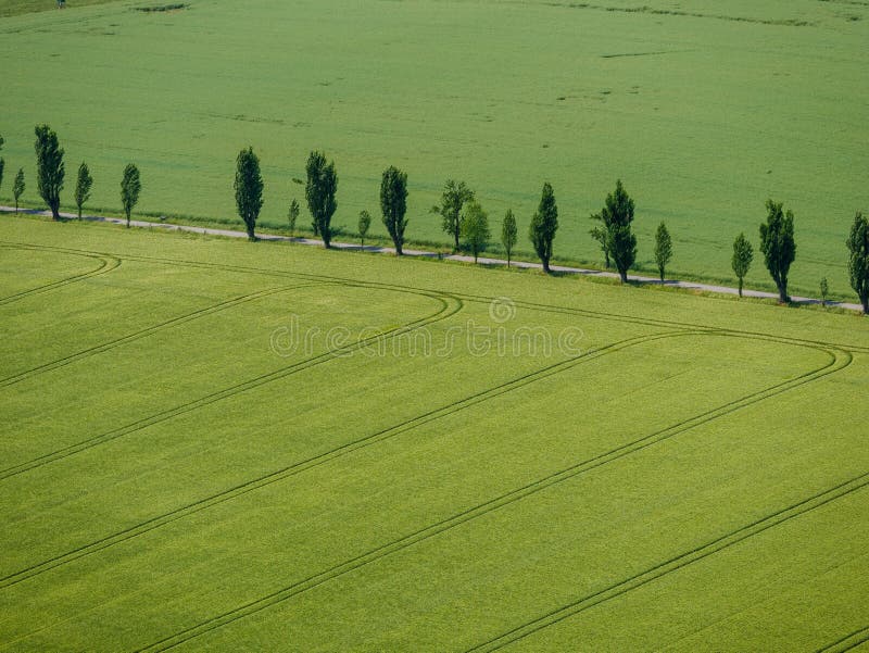 Top Down View on Farmland with Fields, Meadows and Forest. Agriculture ...