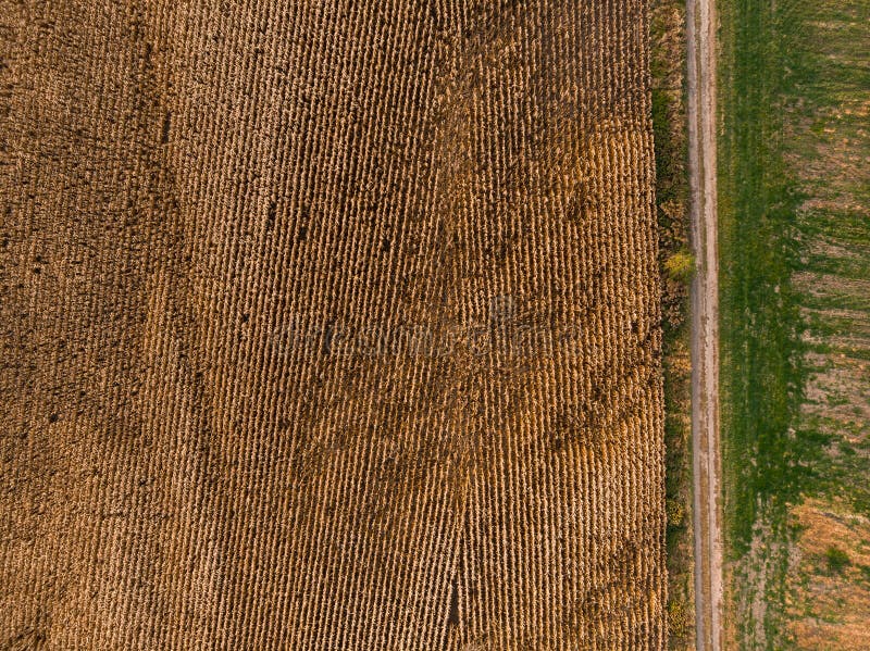 Top down view of farmland stock image. Image of view - 128279235