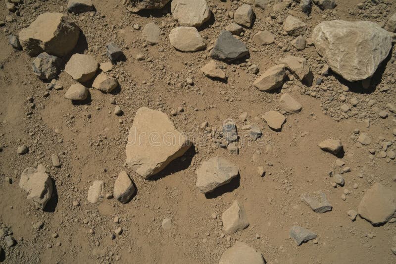 In a Top-down View, Fertile Soil is the Focal Point of a Textured ...