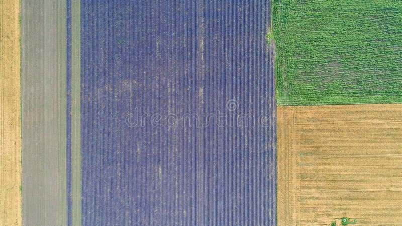 Top Down View Of Public Basketball Court. School College With ...