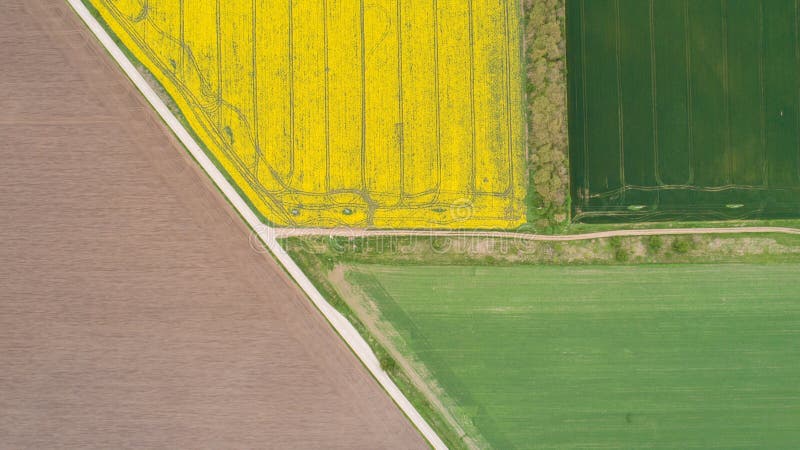 Top Down View of Fields with Various Types of Agriculture. Beautiful ...