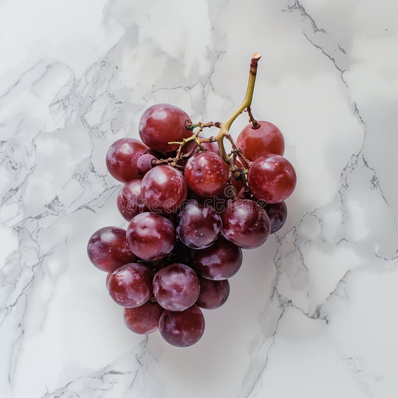 Top Down View of a Grape on a White Marble Table Stock Illustration ...