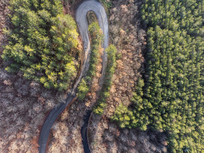 Top-down View of an Hairpin Bend in the Middle of a Forest with Green ...