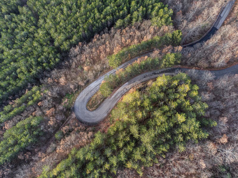 Top-down View of an Hairpin Bend in the Middle of a Forest with Green ...