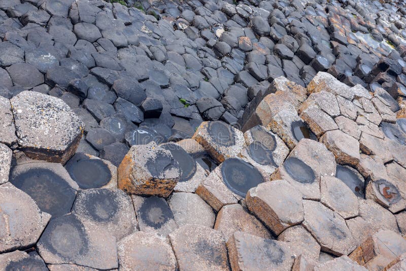 Top-down View of Hexagonal Basalt Columns at Giant Causeway, Stones ...
