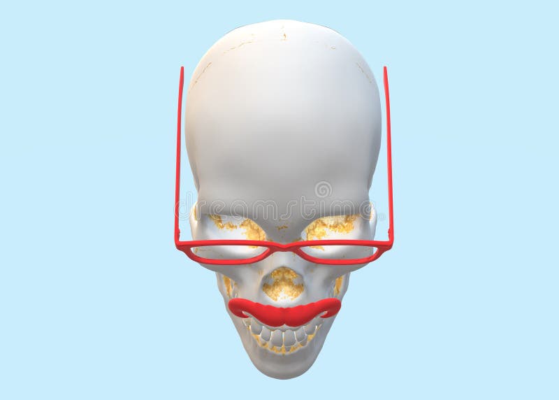 Top Down View of a Human Skull Wearing Red Glasses Spectacles and ...
