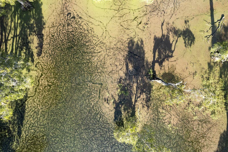 Top Down View of Rippling Water in Rural Creek Stock Image - Image of ...
