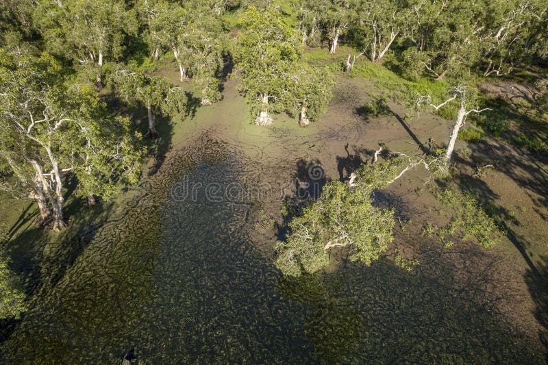 Top Down View of Rippling Water in Rural Creek Stock Image - Image of ...