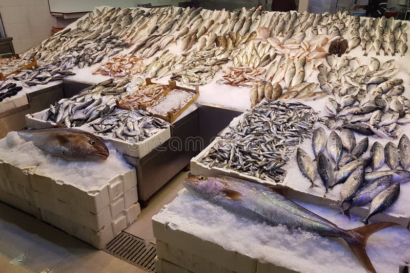 Top Down View on Multiple Rows of Various Raw Freshly Caught Fish on ...