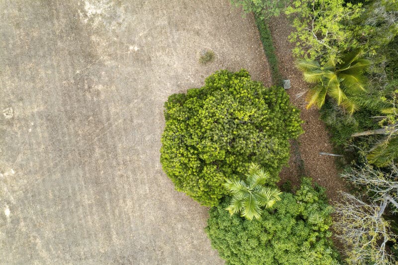 Top Down View Onto Trees and Bare Field Stock Photo - Image of pattern ...