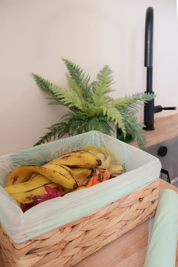 A Top-down View of an Open Food Waste in the Eco Friendly Bio Bag on ...