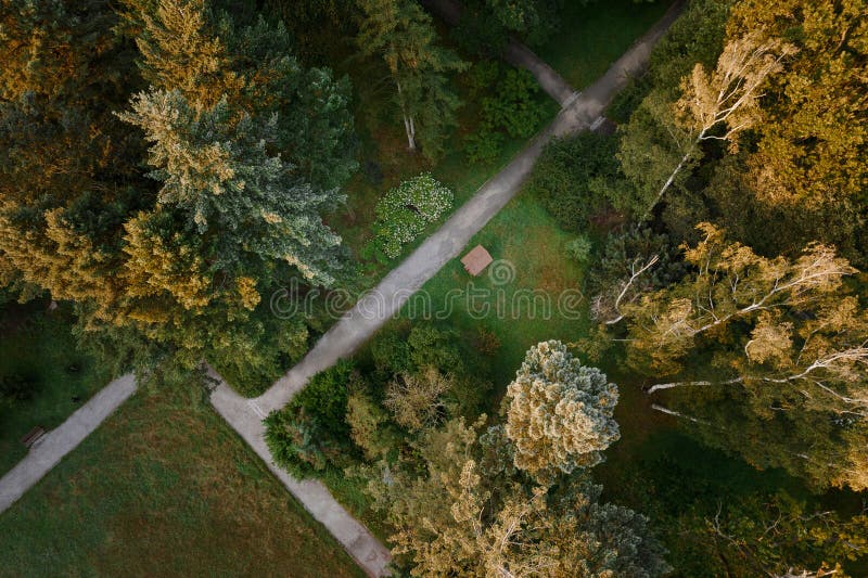 Top-down View of Park Paths Stock Photo - Image of dawn, tree: 290472494