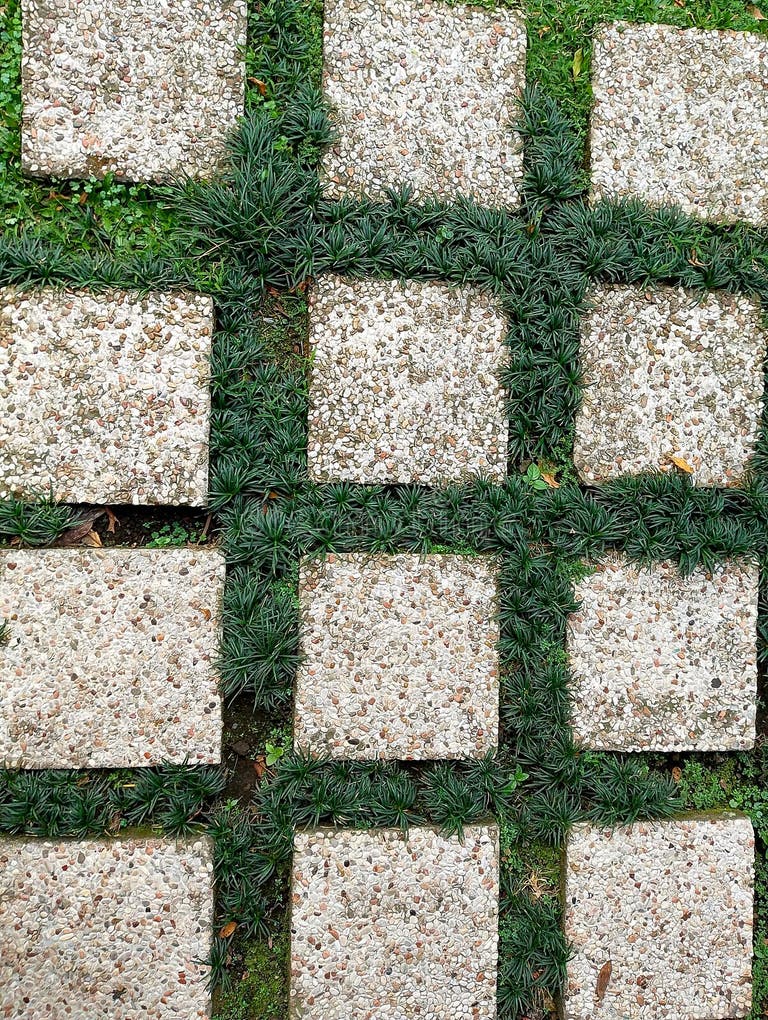 291 Rectangular Pavers Stock Photos - Free & Royalty-Free Stock Photos ...