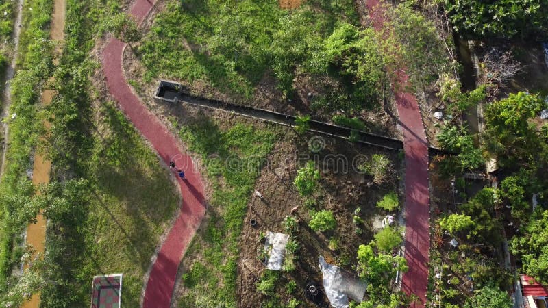 Top Down View People Walk at the Exercise Path Stock Video - Video of ...