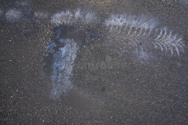 A Top-down View of a Reflective Puddle of Oil or Gasoline on Saturated ...