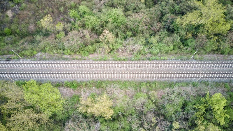 Top Down View of Rural Railway Passing through the Forest Landscape ...