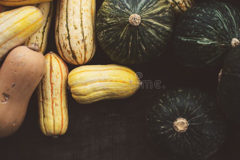 Winter squash, top down stock image. Image of healthy - 254818655