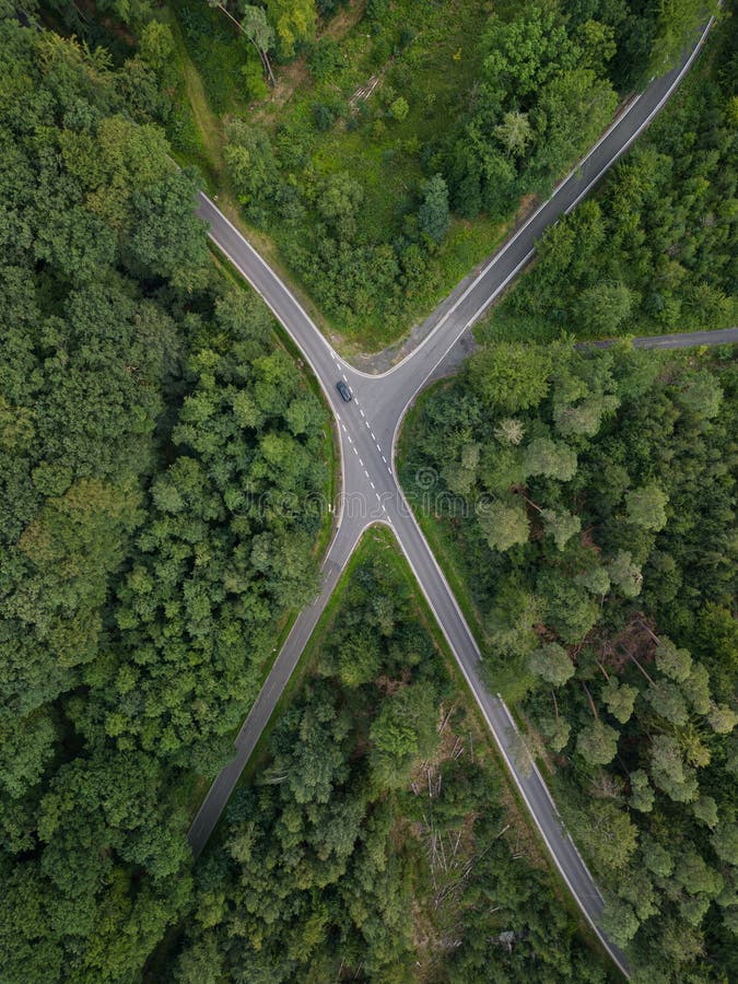 Top Down View of a X Shaped Crossroad between the Green Forest Stock ...