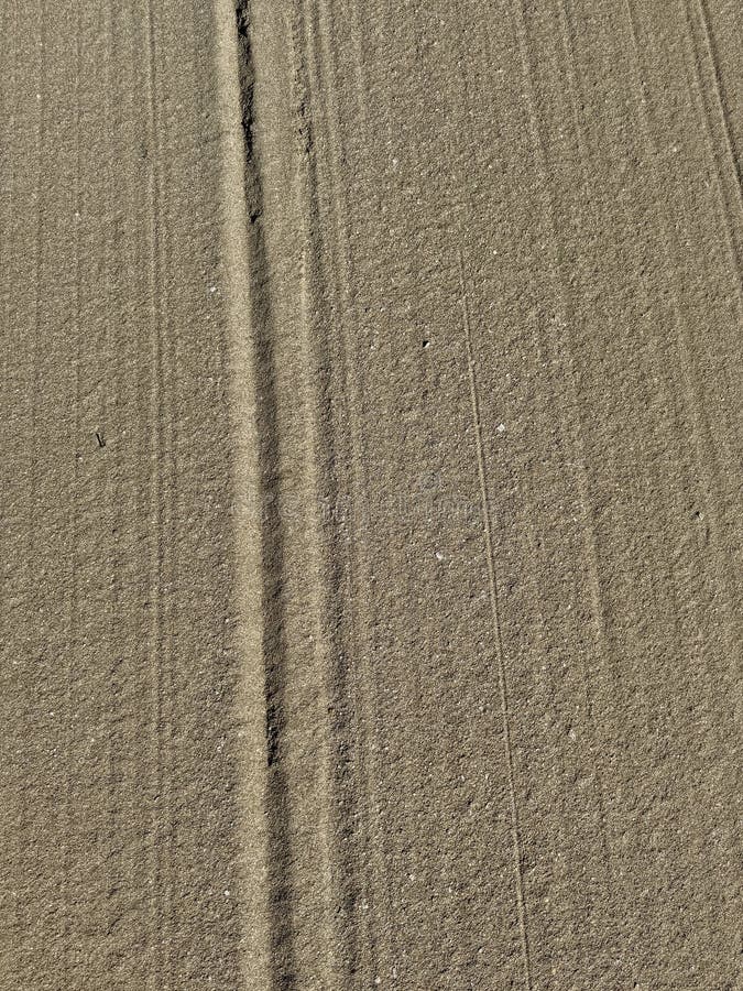 Top-down View of Smooth, Sunlit Sand Featuring a Central Track Mark and ...